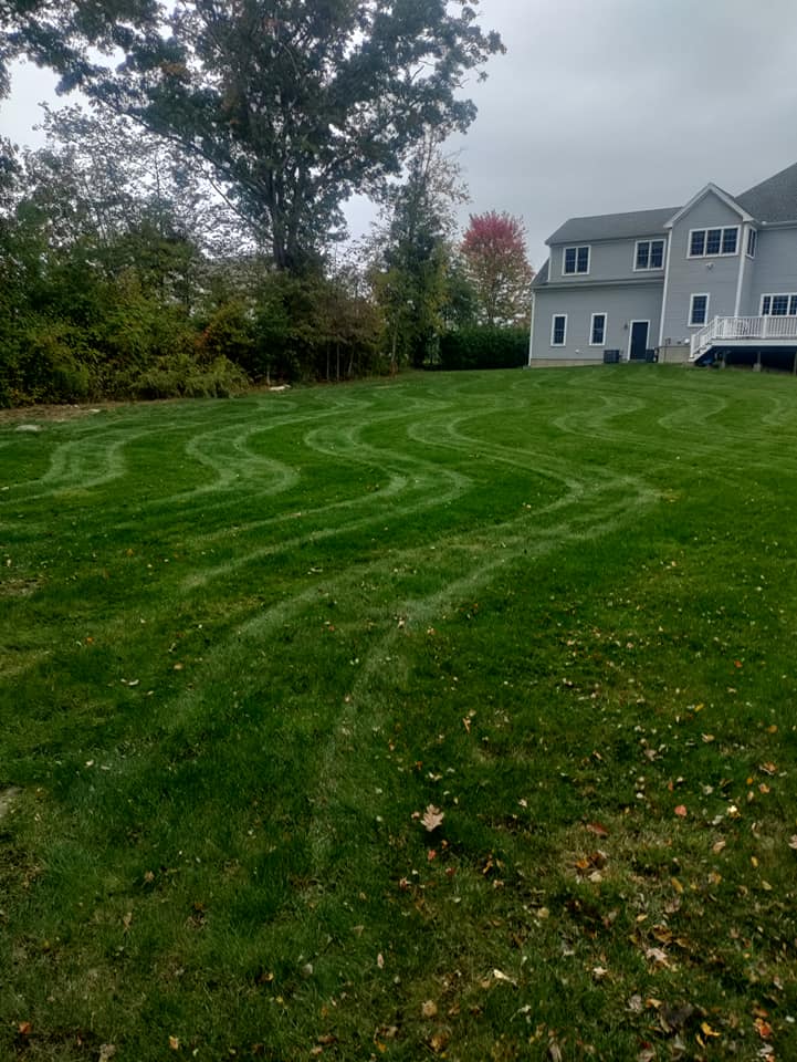 Flamingo Landscaping Offers Brush Removal in Fall River, MA 02724